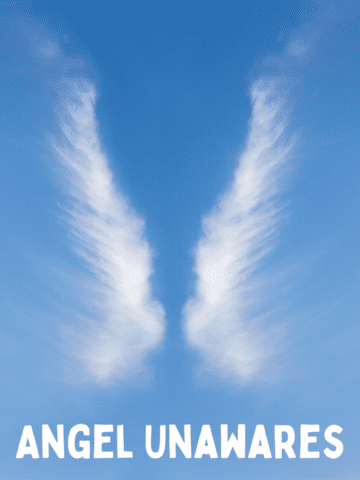 Blog - Janice Thompson, Author